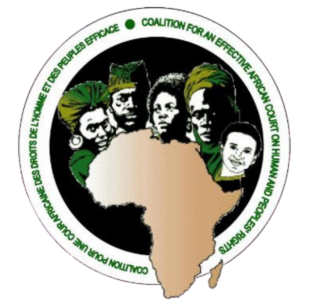 Background & Structure | African Court Coalition